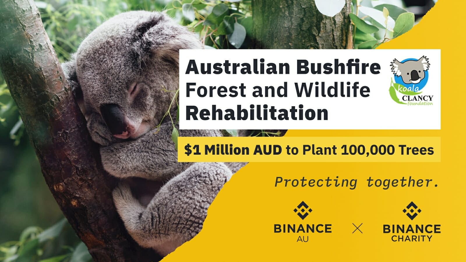 Binance Charity launches Tree Tokens to plant 100,000 trees to restore ...