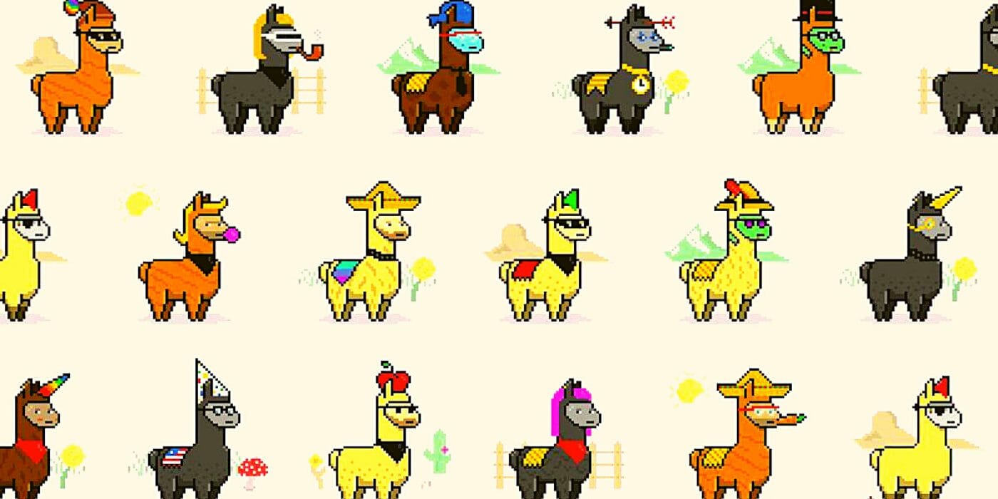 Aussie NFT Llama Project Promises Refunds Amid Error-Plagued Launch ...