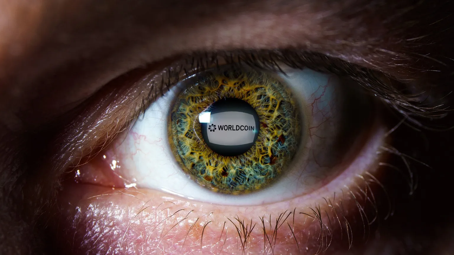 Worldcoin Sells US$65M in Tokens as WLD Hits Record Low
