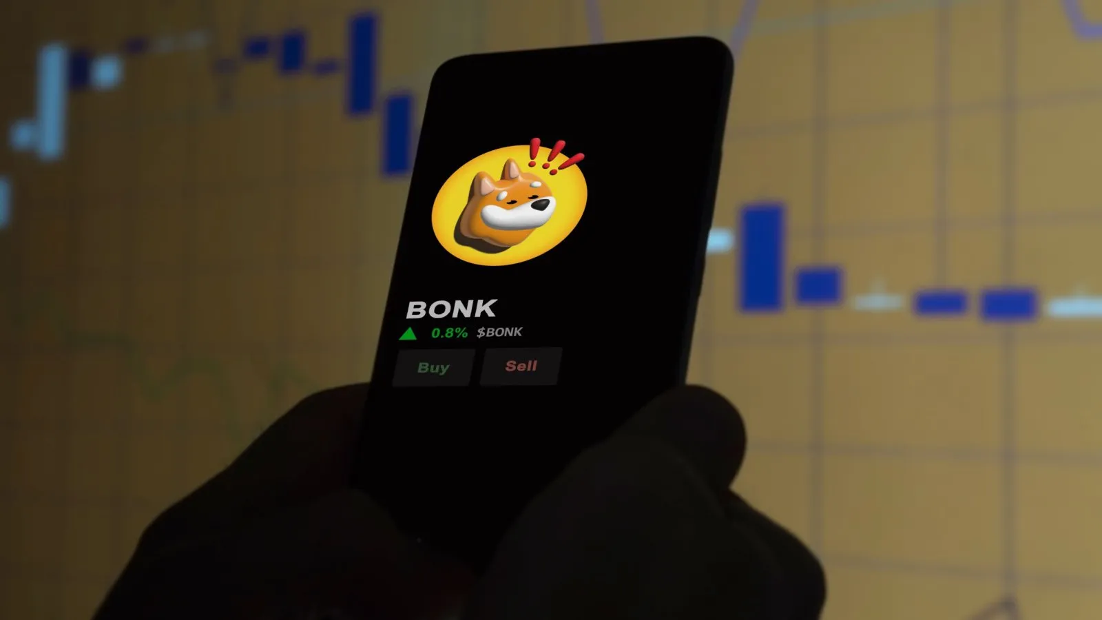 Is the Meme Coin Frenzy Ending? BONK Plummets by 70% | CNA
