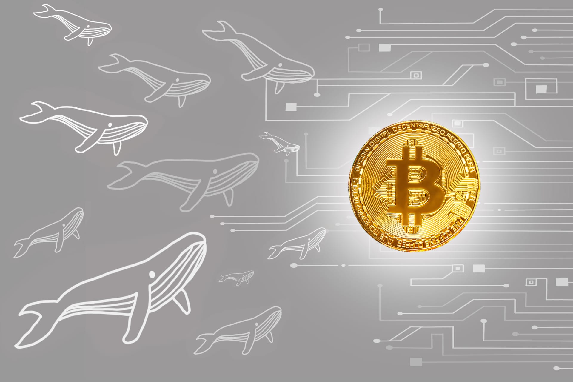 Ethereum and Bitcoin Whales Surge Ahead in Accumulation Hinting at Market Recovery