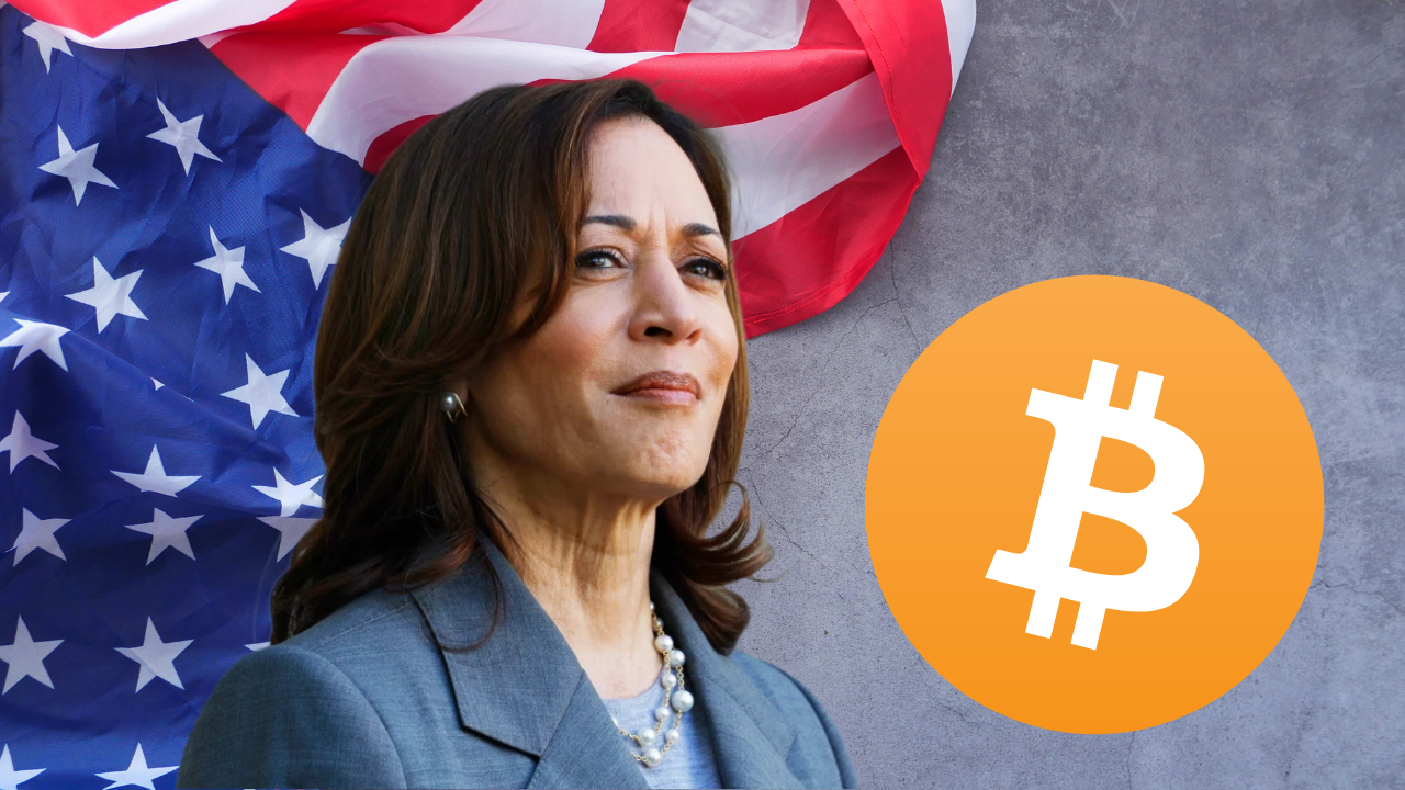 Kamala Harris Announces Plans to Reset Democrats’ Relationship with US ...
