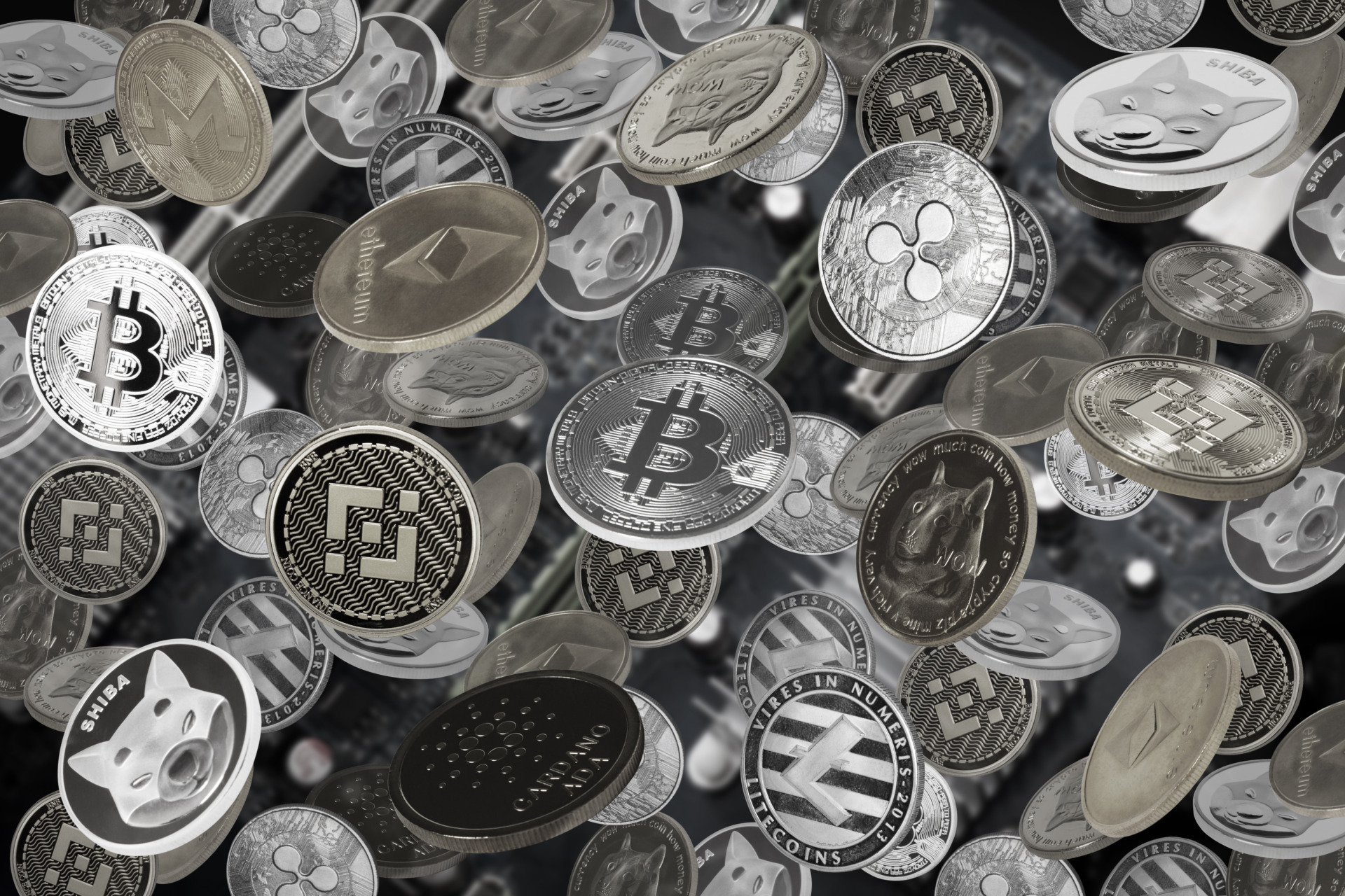 XRP, SOL, BTC Rally: Is the Bottom in For the Crypto Market?